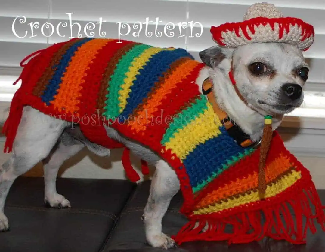 10 Crochet Sombrero Patterns That Are Fun and Festive